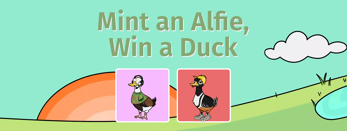 🚨MINT AN ALFIE, WIN A DUCK🚨. HeyAlfie is partnering up with Duck to ...