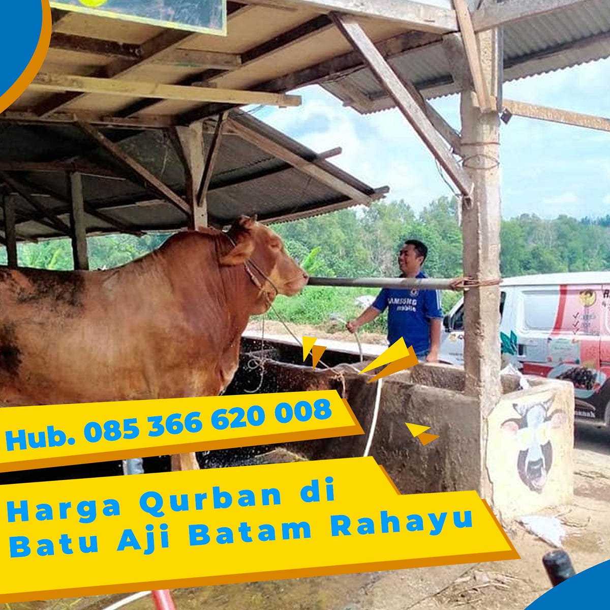 Hub. 0853 6662 0007, Peternakan Hewan Qurban 2022 Batam | by Peternakan Qurban Batam | Medium