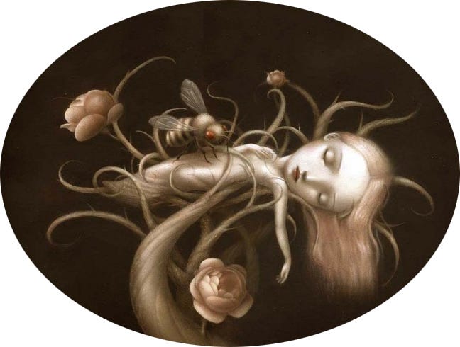 Goth Picture Books?. The beautiful nightmares of Nicoletta… | by Jerry ...