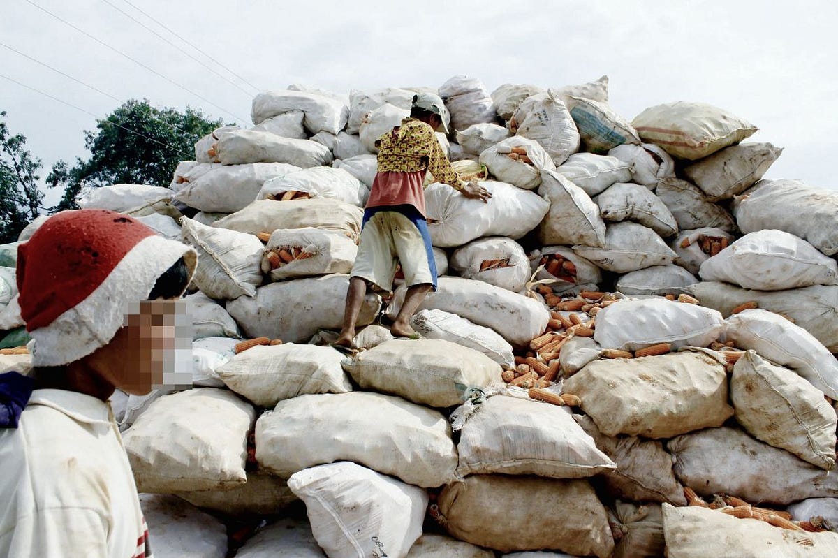Breaking the Chains: Confronting the Persistent Issue of Child Labor in ...