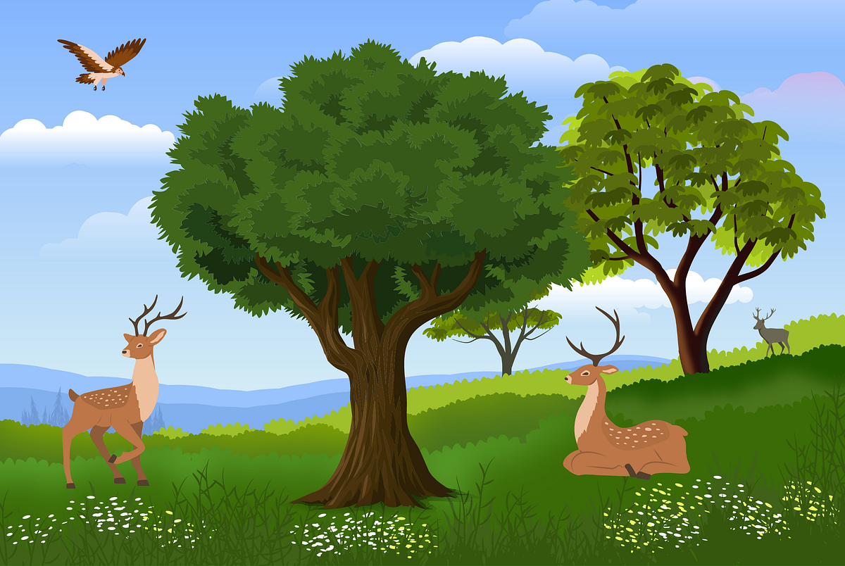 Why It’s Important To Celebrate Your Adaptability | by Scott Ninneman ...