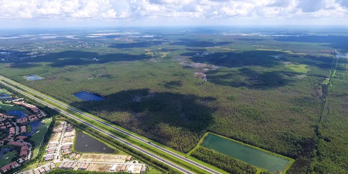 Conservation 20/20: Lee County’s Legacy | by Conservancy of SWFL ...