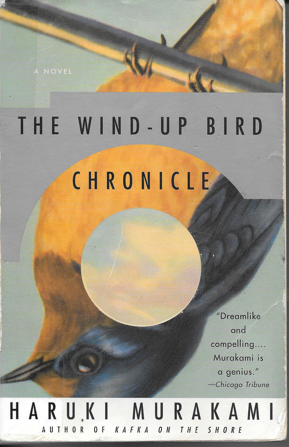 A Descent into the Labyrinth: Unraveling the Mysteries of The Wind-Up Bird Chronicle | by Dave ...