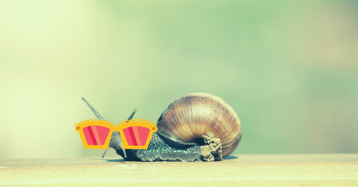 This is Why I Prefer Travelling at Snail Pace Over High Speed, Anytime ...