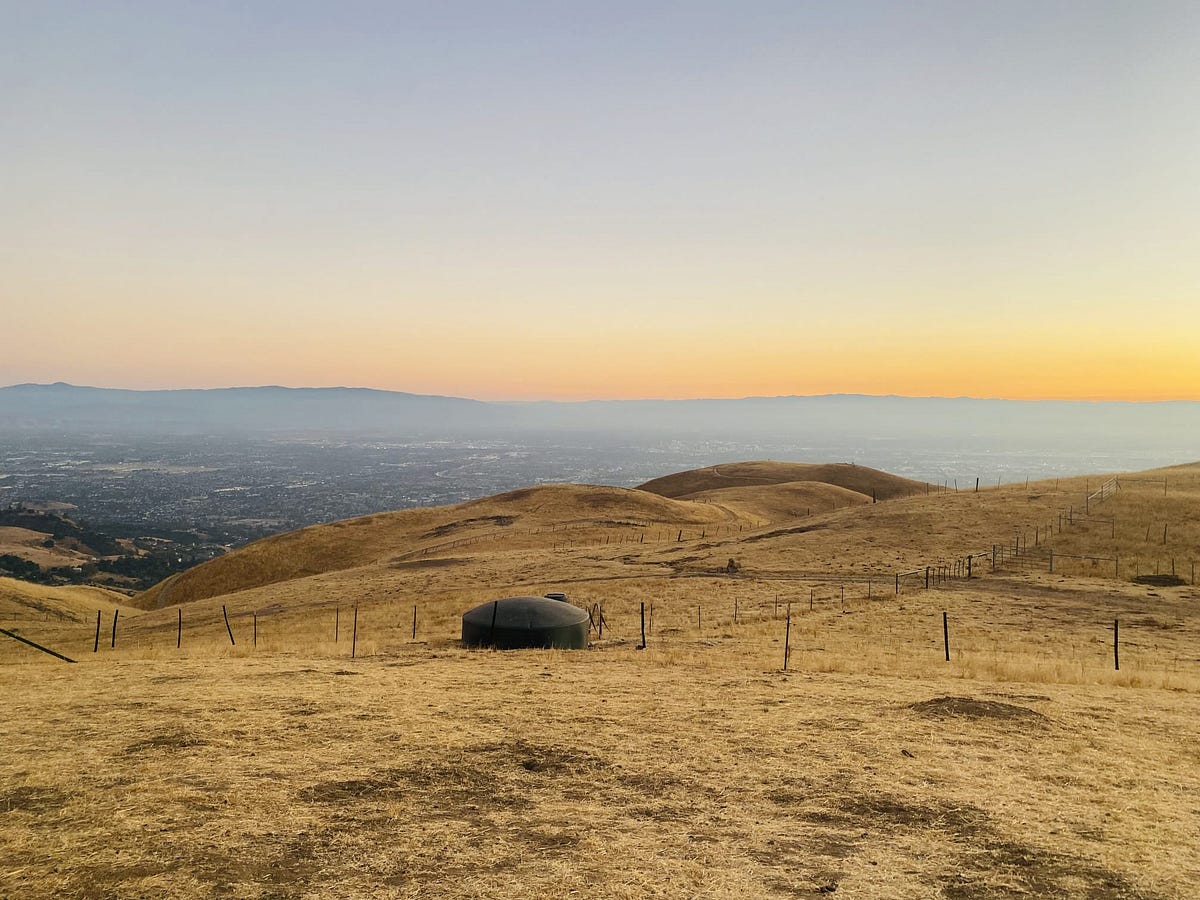 Golden Summer Hills. Sharing some random thoughts that… | by Skwolvie ...