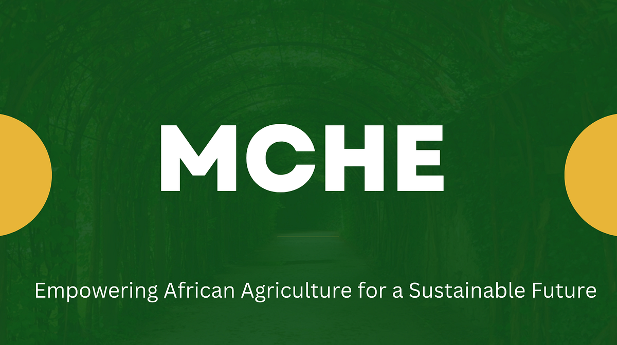 MCHE. When you go up to any farmer in Kenya… | by Michael Munavu | Aug, 2023 | Medium