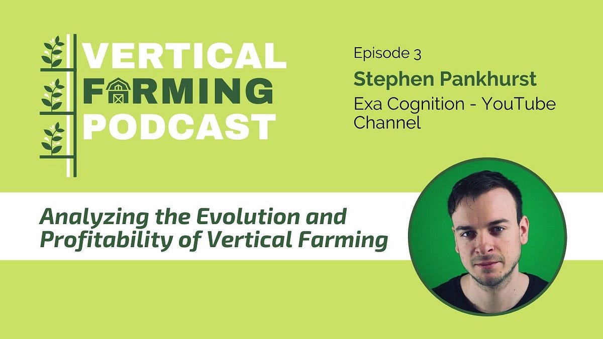 Episode 3 — Analyzing the Evolution and Profitability of Vertical ...