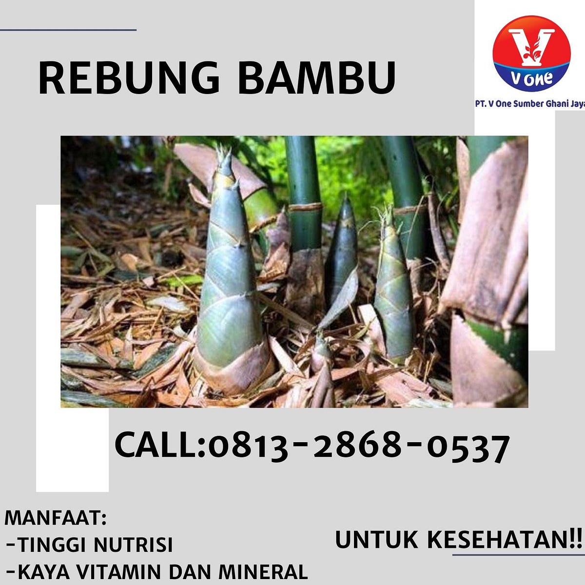 Pusat Budidaya Herbal Rebung Bambu Desa Tambak Bayumas - Pusat tanaman ...