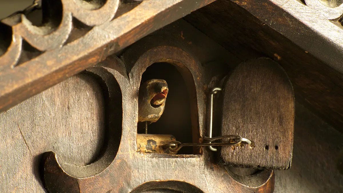 episode 24: one flew into the cuckoo’s bed | by Talking Kink With Alex + Ellie | Agency Magazine ...