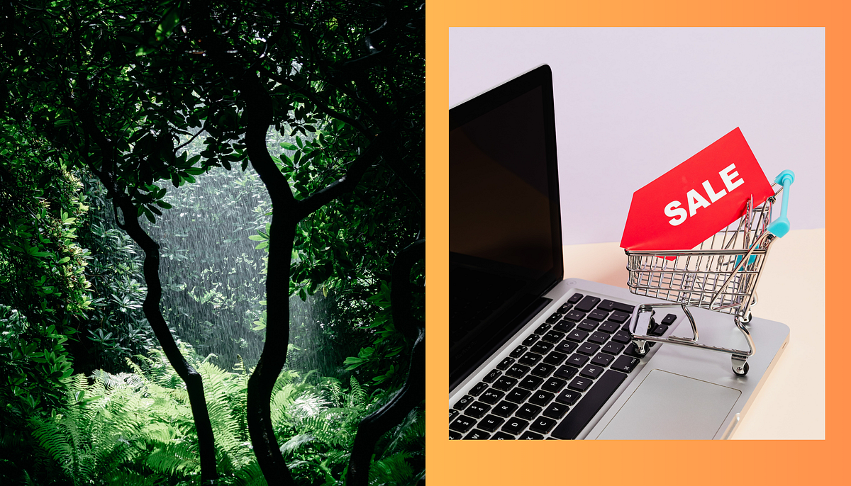 Amazon vs Amazon. An interesting study of surprising… | by Fazilat ...