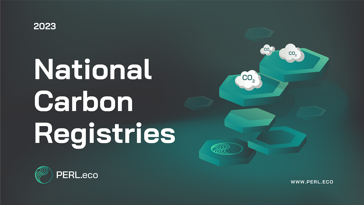 Connecting Carbon Registries: The Missing Link in Climate Action | by ...
