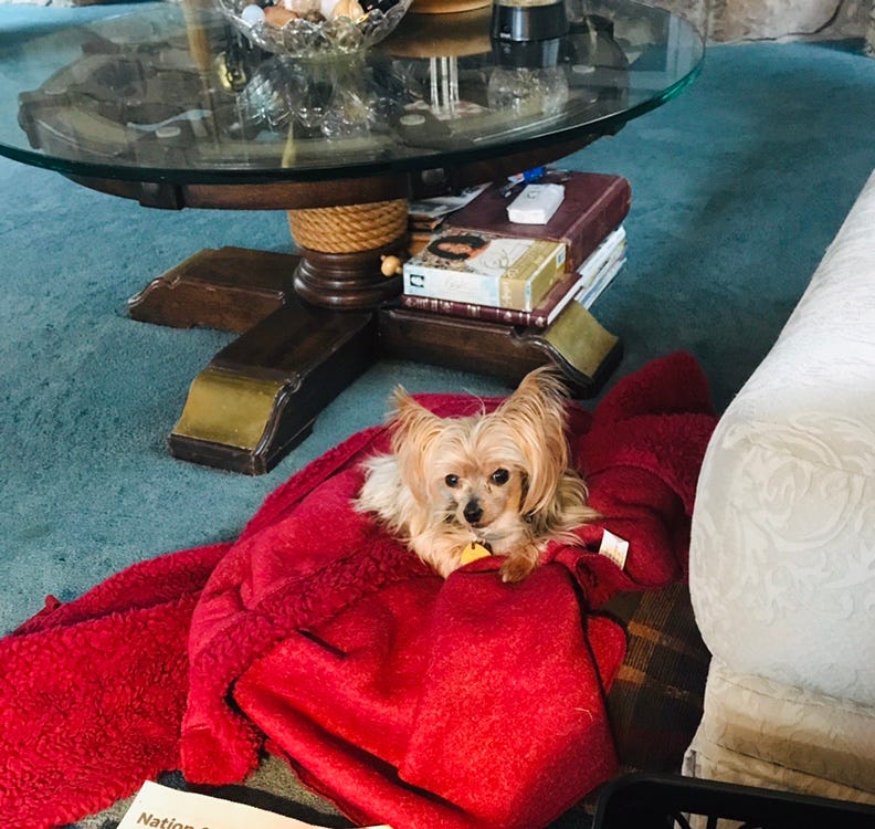 Riley.. Really? | by Susan Christiana | Medium