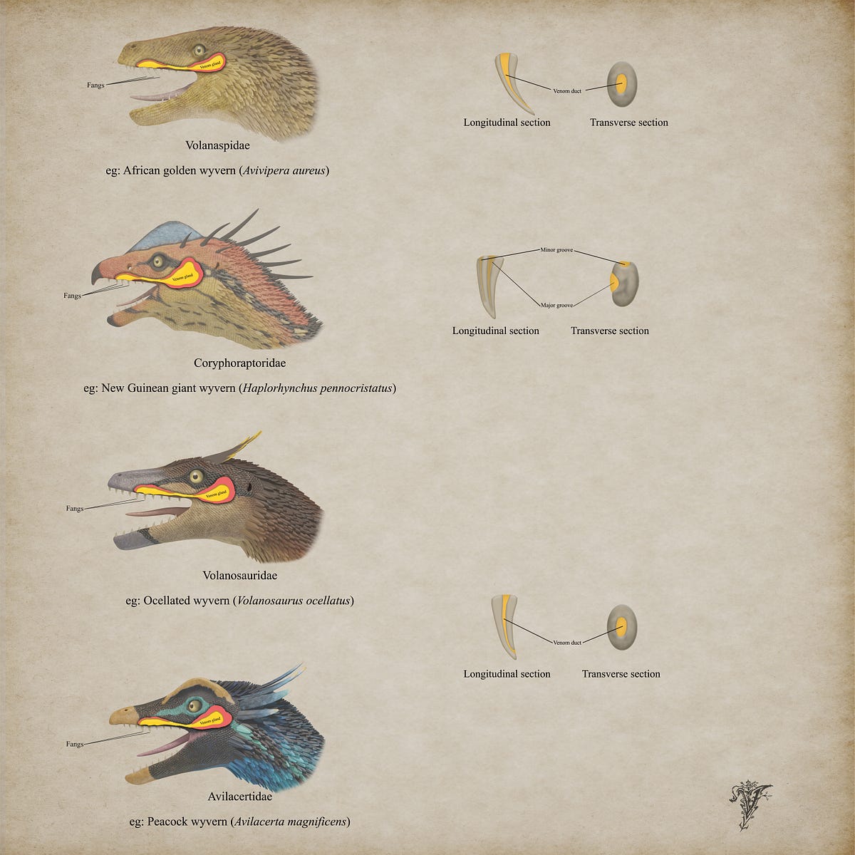 Speculative Evolution — The Fun in Creating Scientifically Plausible ...