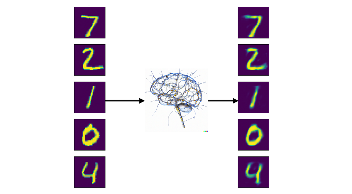 Demystifying Autoencoders Simplifying Complex Data With Magic Compression By Alex 1027