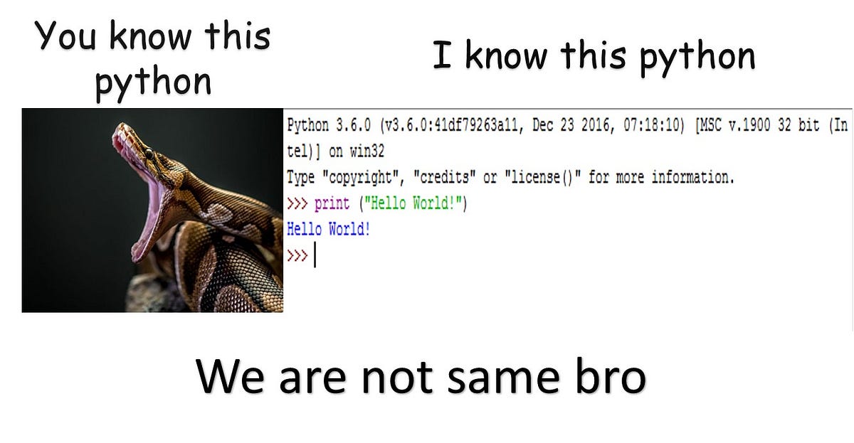 Introduction to Python: Say hello to Python | by Naveen Singh | Medium
