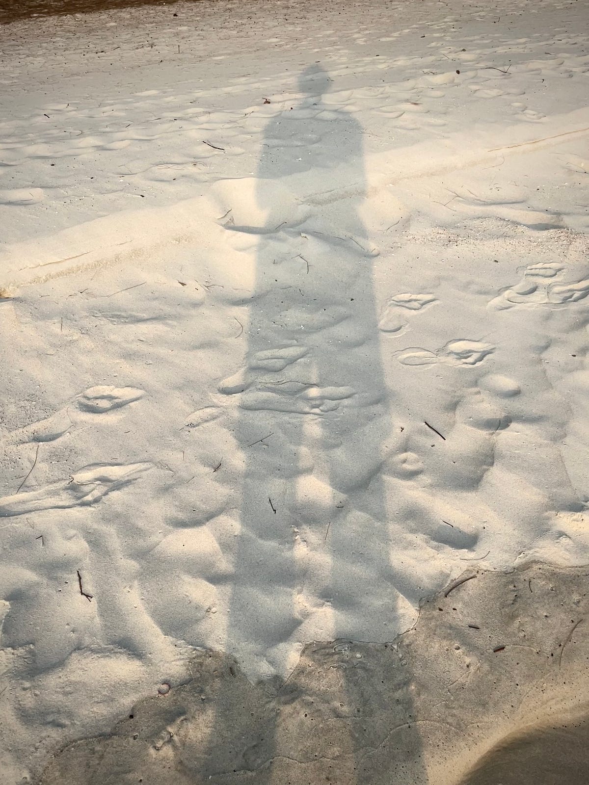I am a Shadow - Six Word Photo Story Challenge - Medium