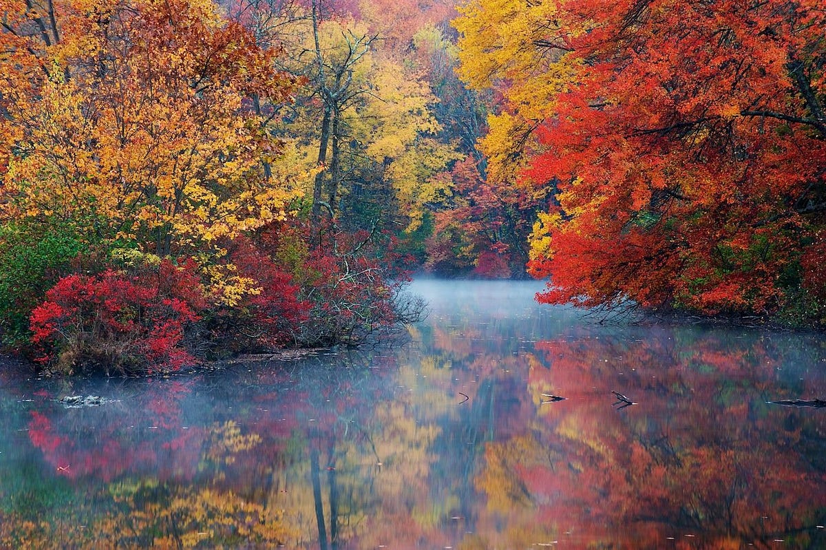 Revisioning. Giving thanks where thanks is due | by Audrey Ardanaz | Medium