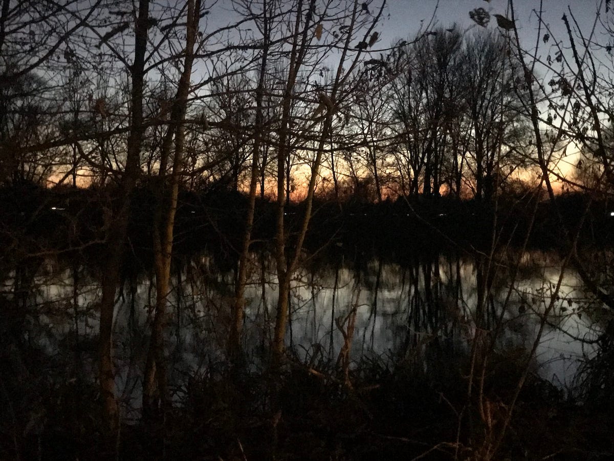 Until Only Light Remains. My last night alone with you | by Holly Rose ...