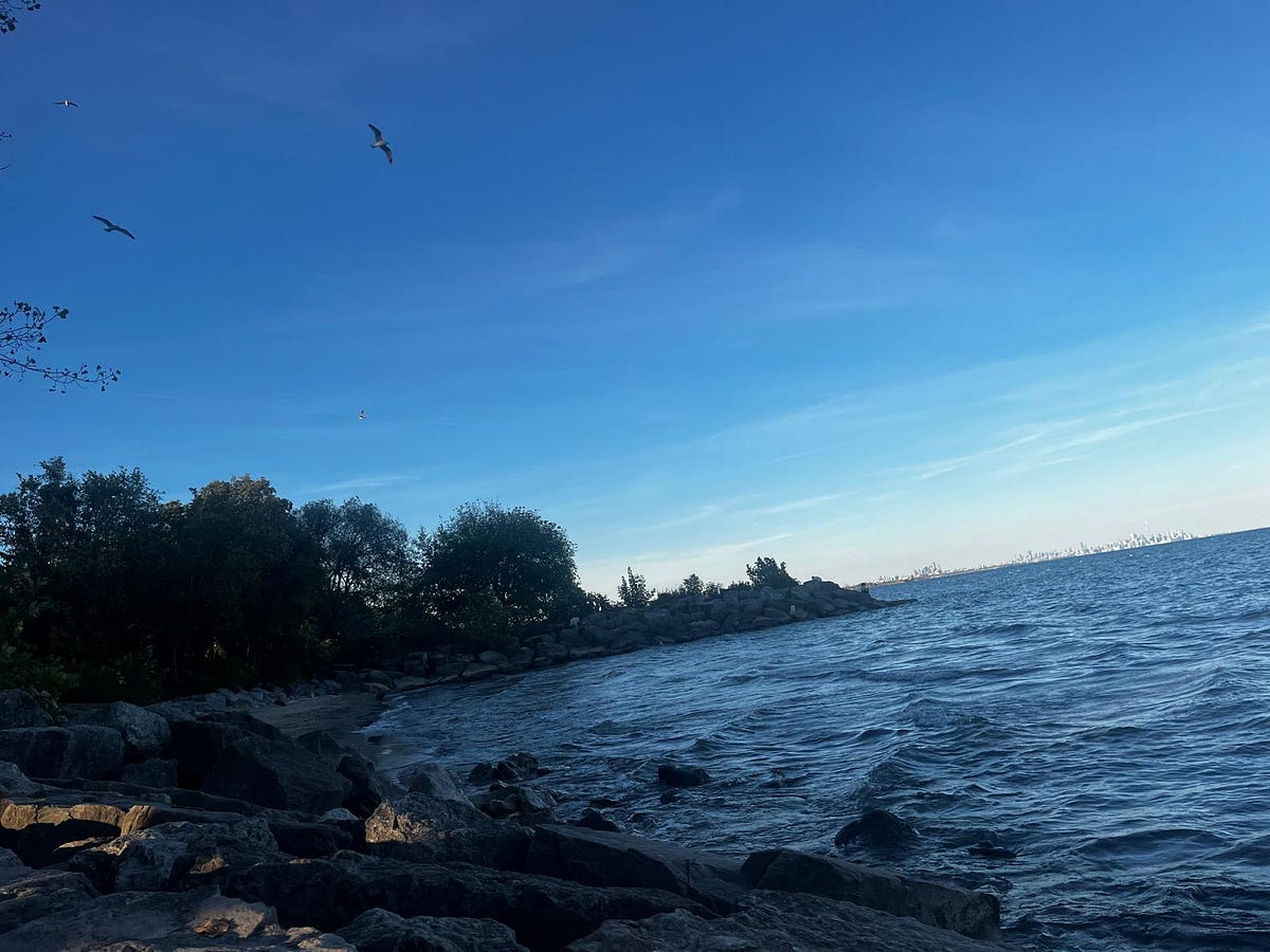 A Date With Nature. Has that happened to you that you are… | by Trisha ...