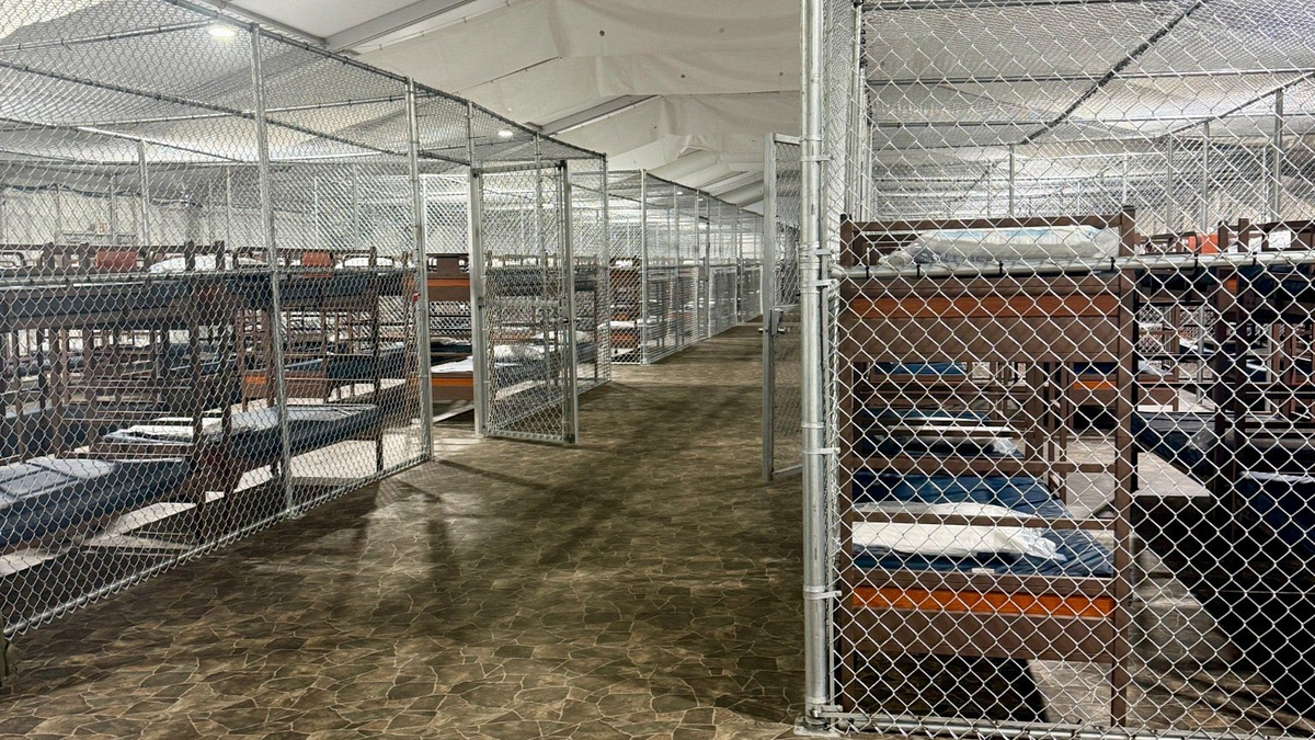 The Shocking Truth: How Prison Mind Games Turn Real at Alligator ...