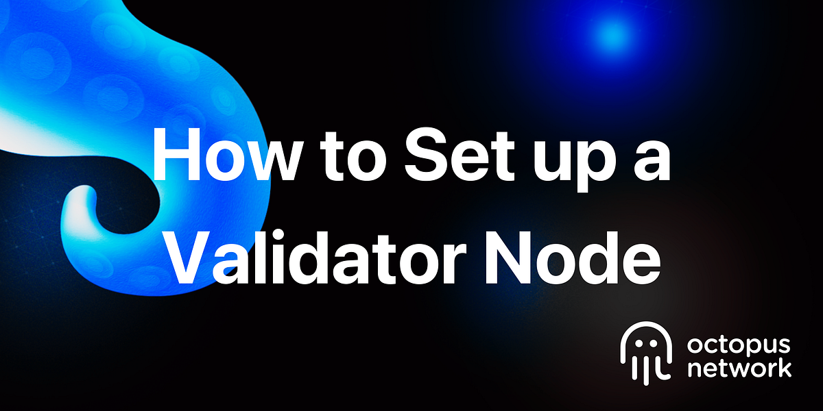 How to Set up a Validator Node on Octopus Network | by Woori Chen | Omnity Network | Medium