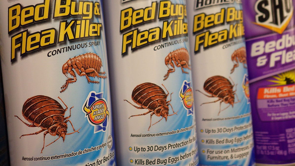 Top 5 Best Flea Bombs for Home 2020 | by Cart Big | Medium