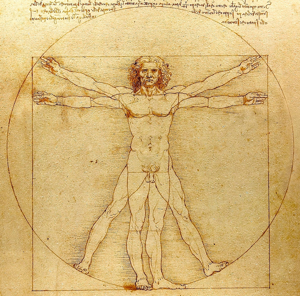 The Four Fundamental Forces of Humanity | by Marmotian | ILLUMINATION ...