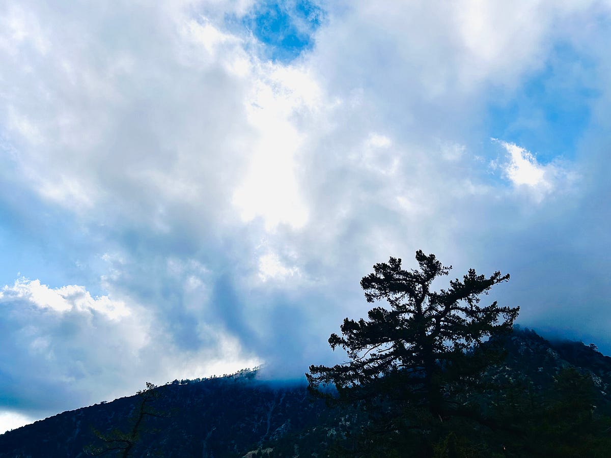 Fathoms Below Design - Medium