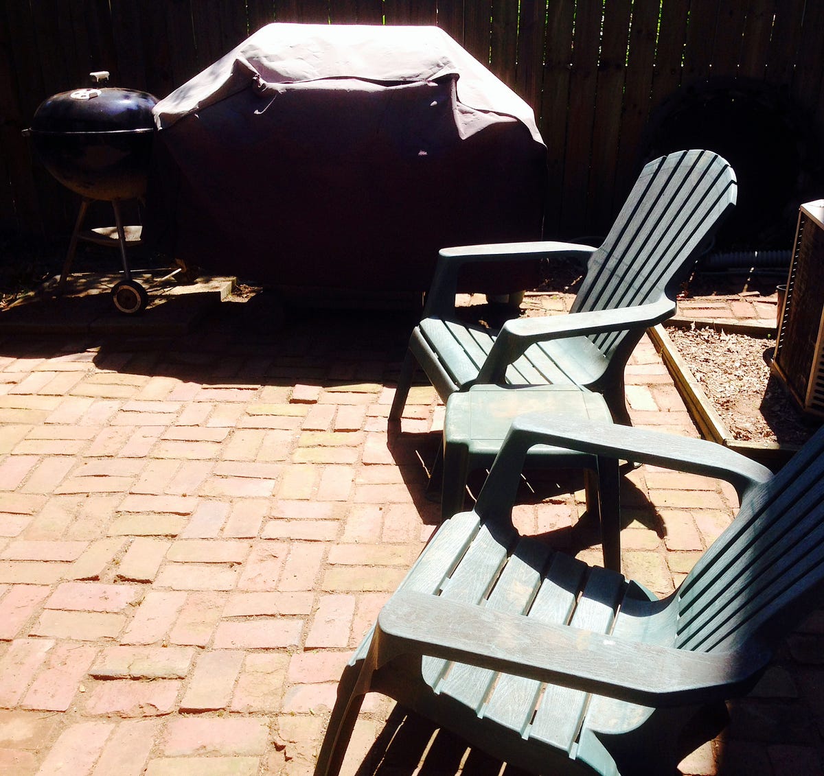 Reclaiming the Back 40 Feet. I was pretty sure there was a patio… | by ...
