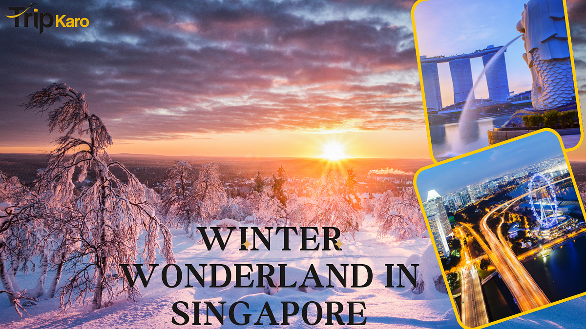 Winter Wonderland in Singapore: Experience the Magic of Alpine Snow ...