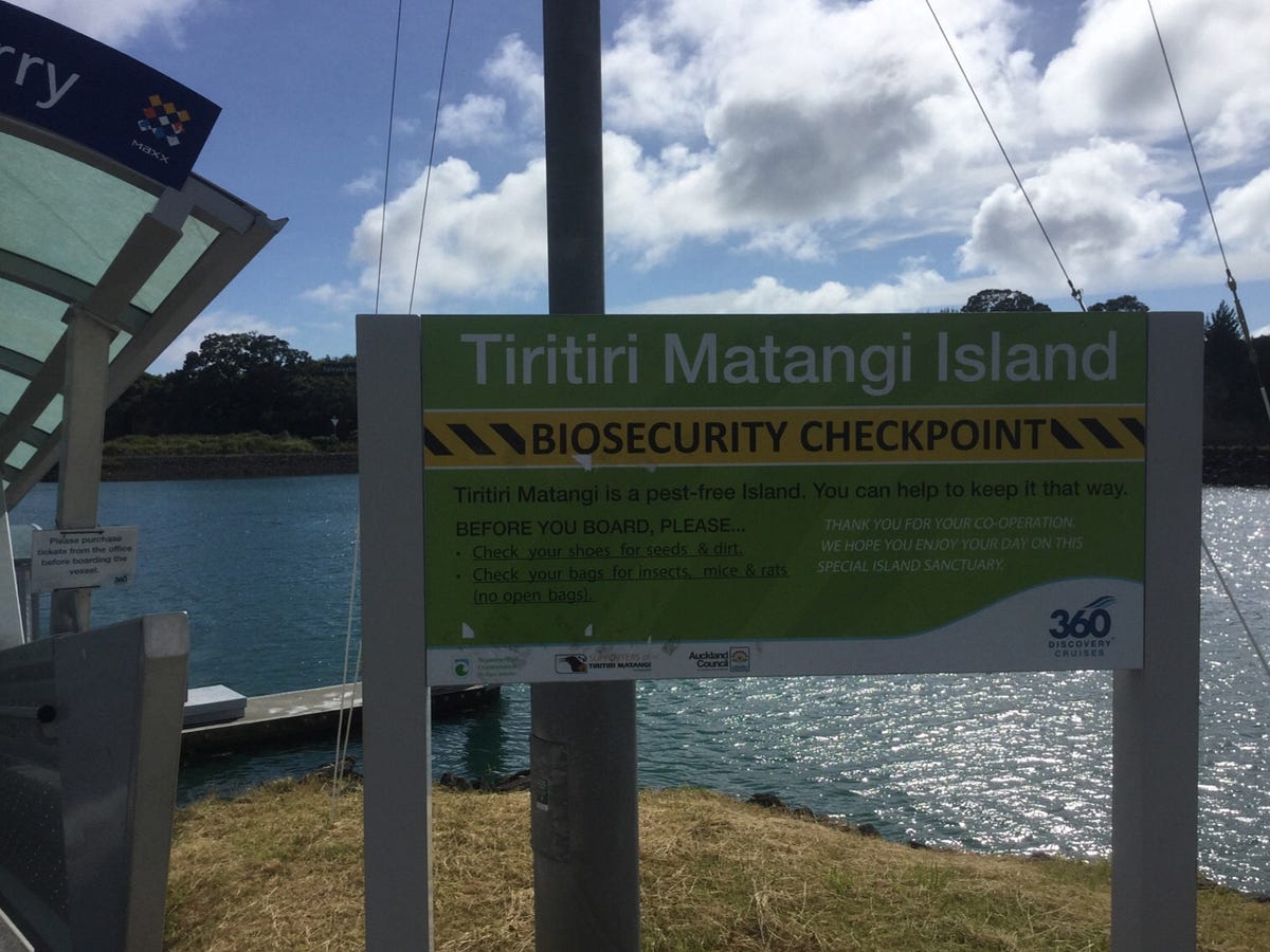 Today we took a ferry to Tiritiri Matangi Island, a wildlife sanctuary ...