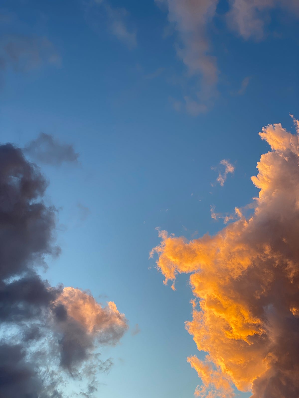 Will late bloomers bloom ep.2 - Yanni Chen - Medium