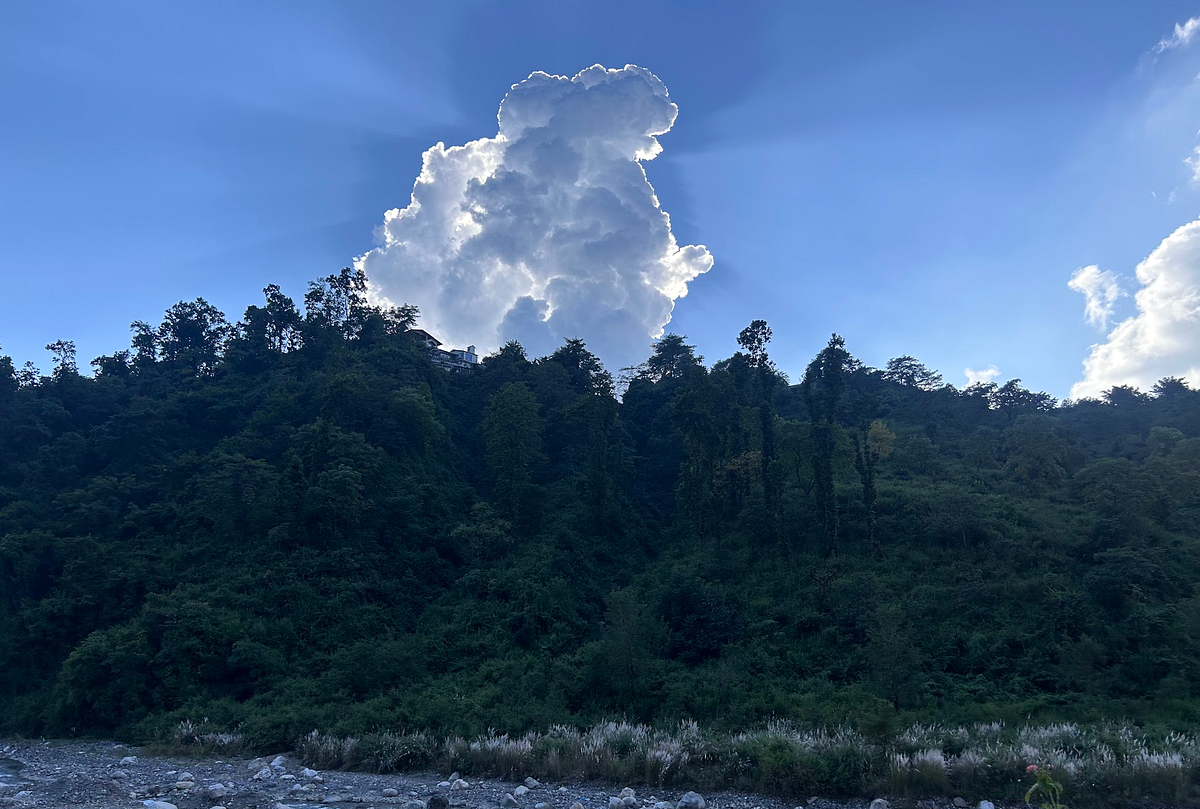 Building a Linear Regression ML Model from Scratch | by Abhiveer Singh ...