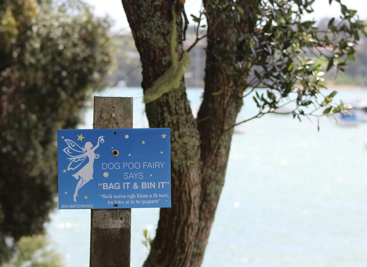 Who Knew There Is A Dog Poo Fairy? - The Daily Cuppa - Medium