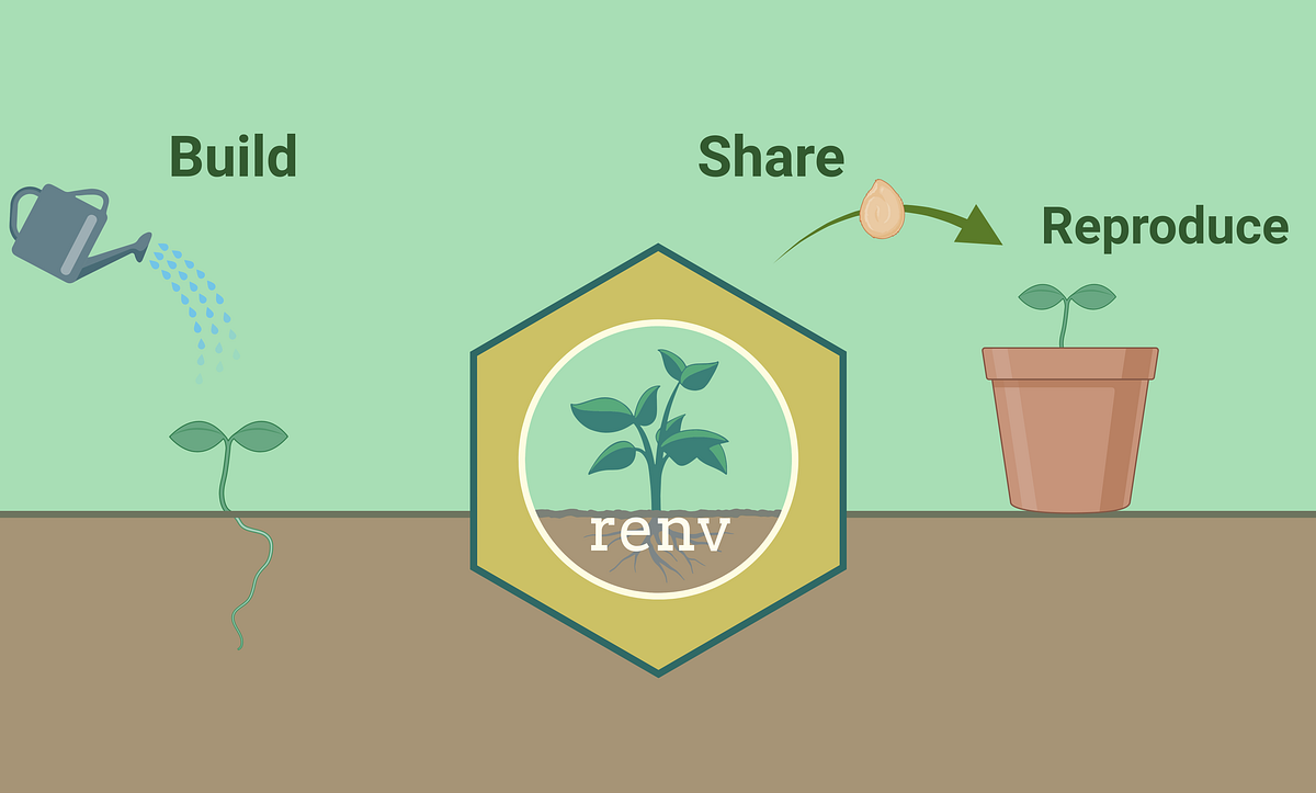 Build, Share, Reproduce — Managing R Environments with renv | by Daniel G. Camblor | Level Up Coding