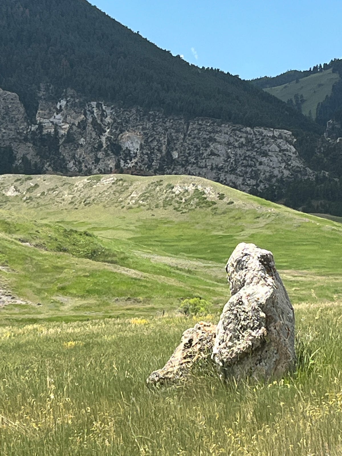 Nature — Reset Button For Humanity | by Wildideaswyoming | Reaching ...