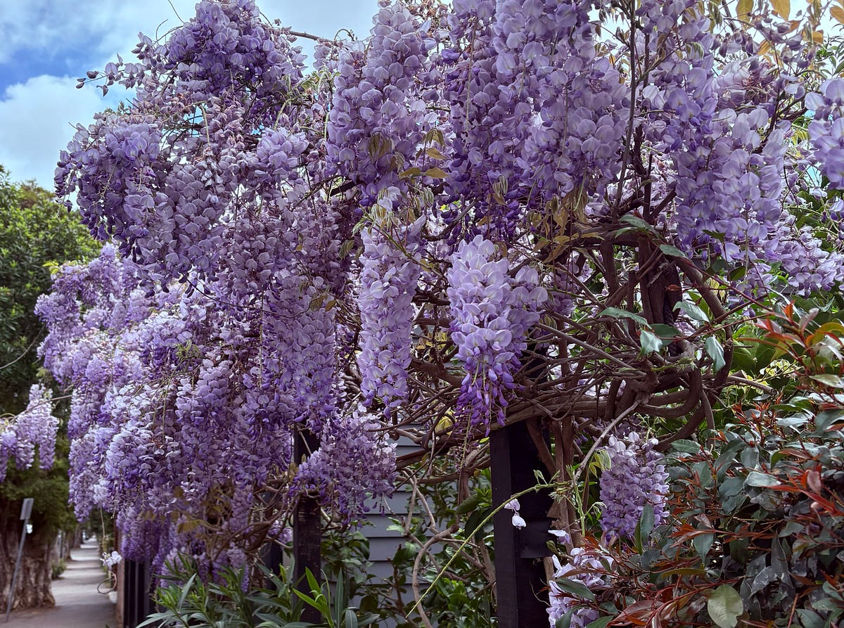Spring - Mjay - Medium