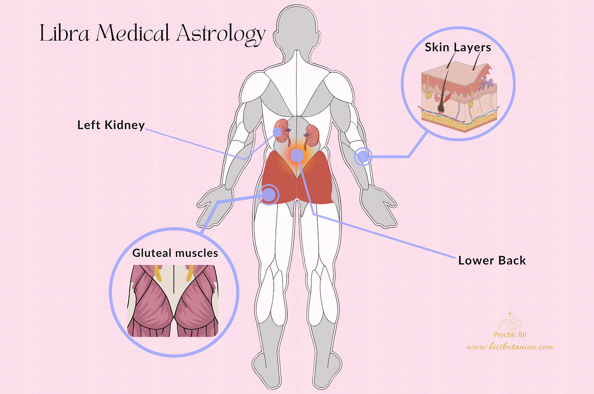 Libra Personality Traits: Myth & Medical Astrology | Mythology Journal