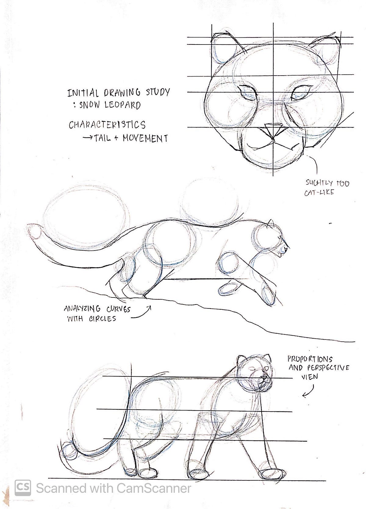 Design Lab: Animals Part 1 | by Anna Chuenrudeemol | Medium