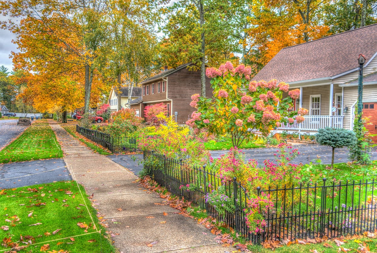 The Revealing Tale of Two Couples House Hunting | by Scott Ninneman ...