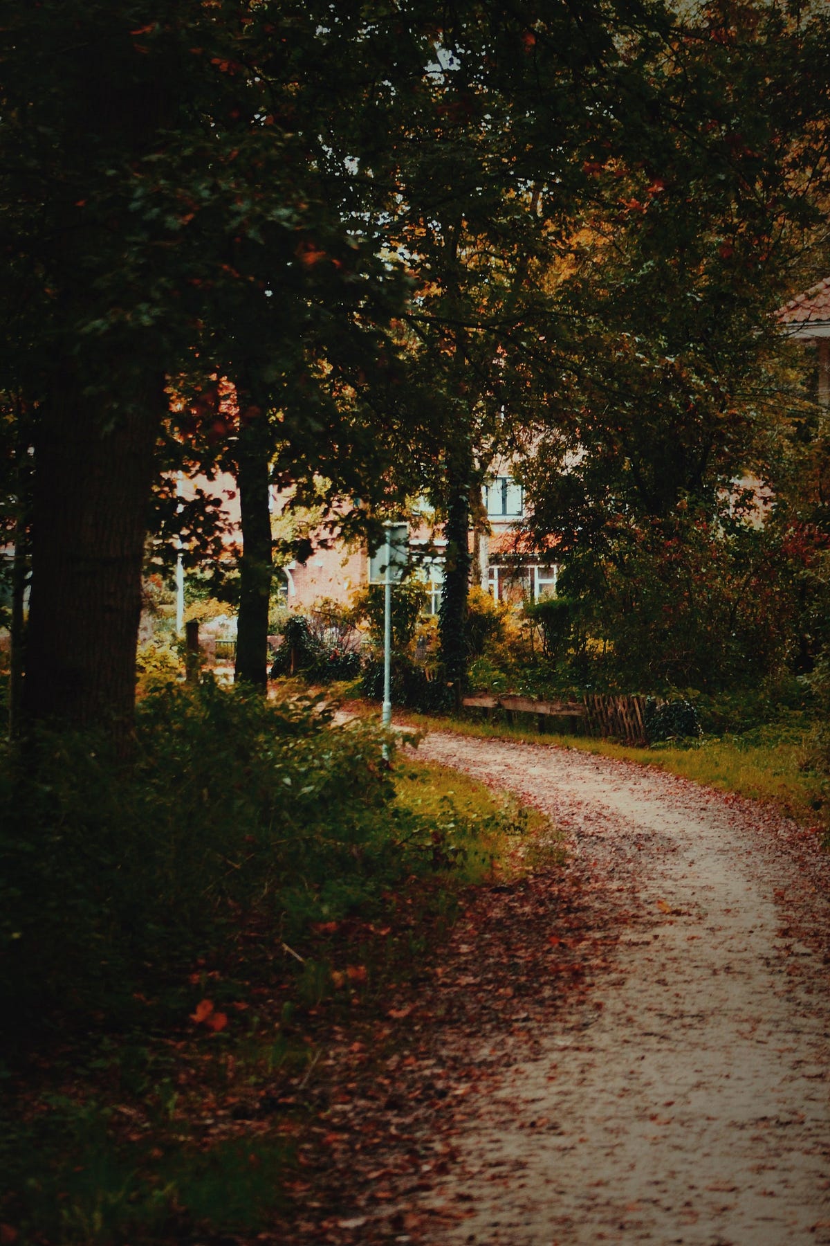 Our daily nightmare riding on these roads to get home | by Chilee Talk ...