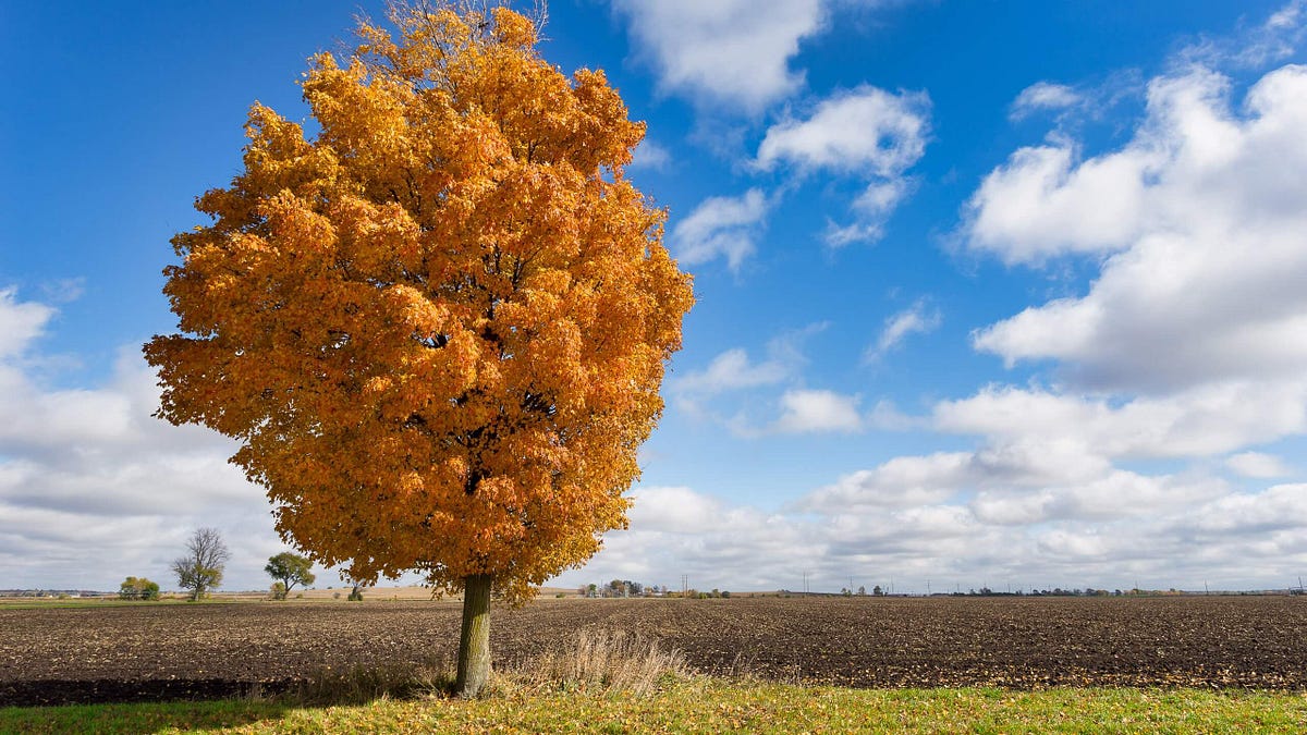 Embracing the Fall Season Through Photography | by Lauri Novak | Full ...