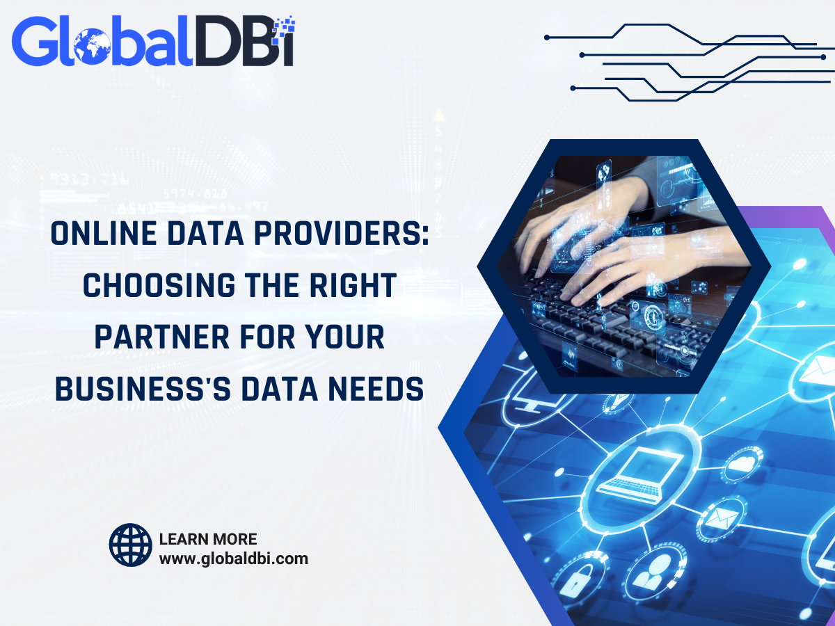 Online Data Providers: Choosing the Right Partner for Your Business’s ...