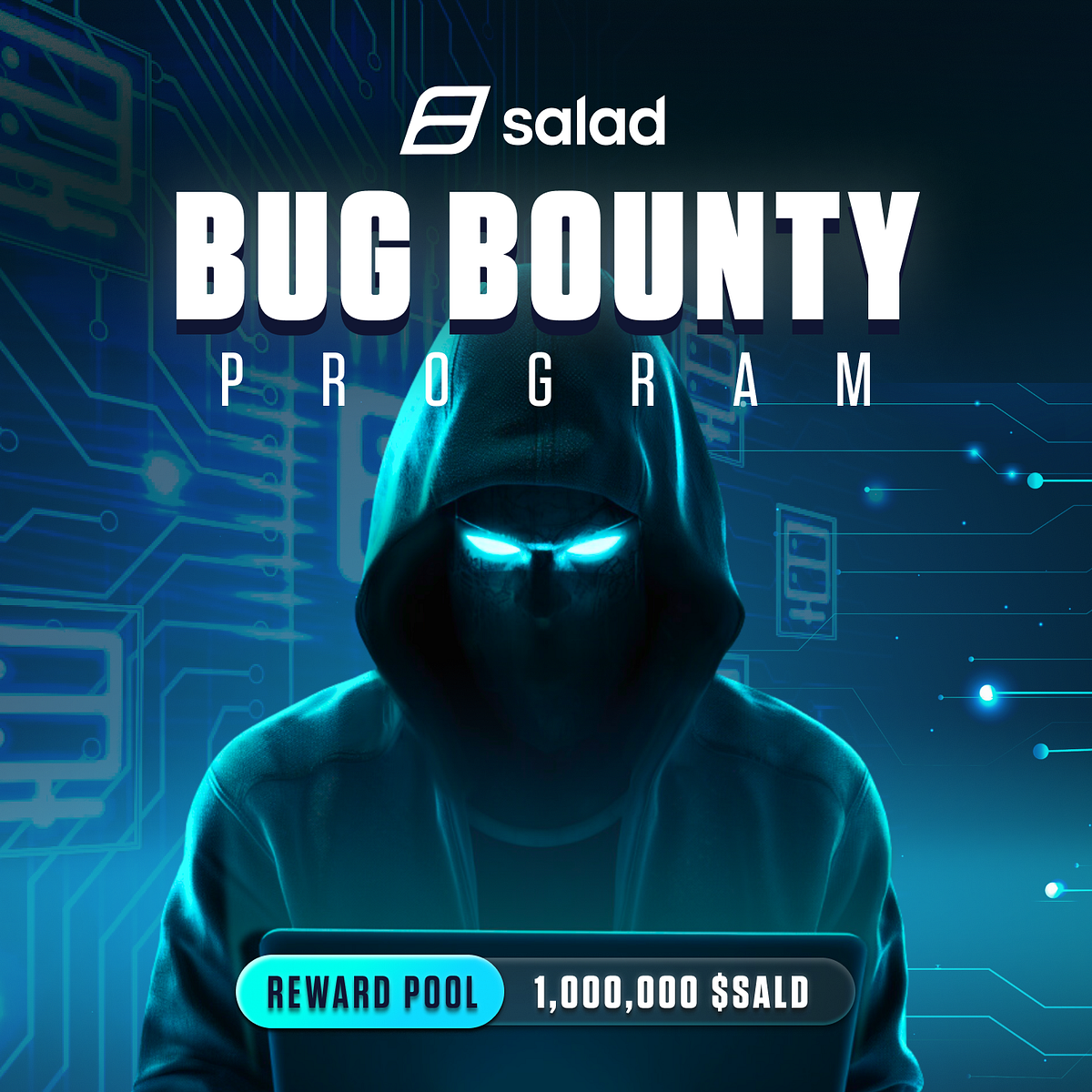 Bug Bounty Program: Safeguarding Salad Ventures | by Salad Ventures ...