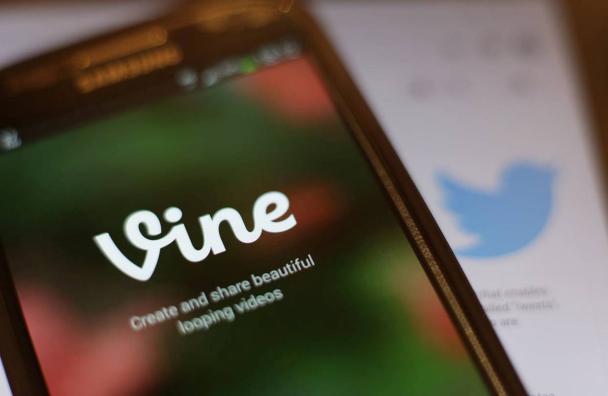Vine: The App that Changed the Internet Forever | by Carolina Caram ...