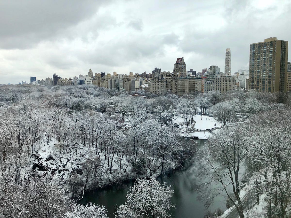 Snow-Covered Central Park. This morning I woke up to a fresh… | by ...