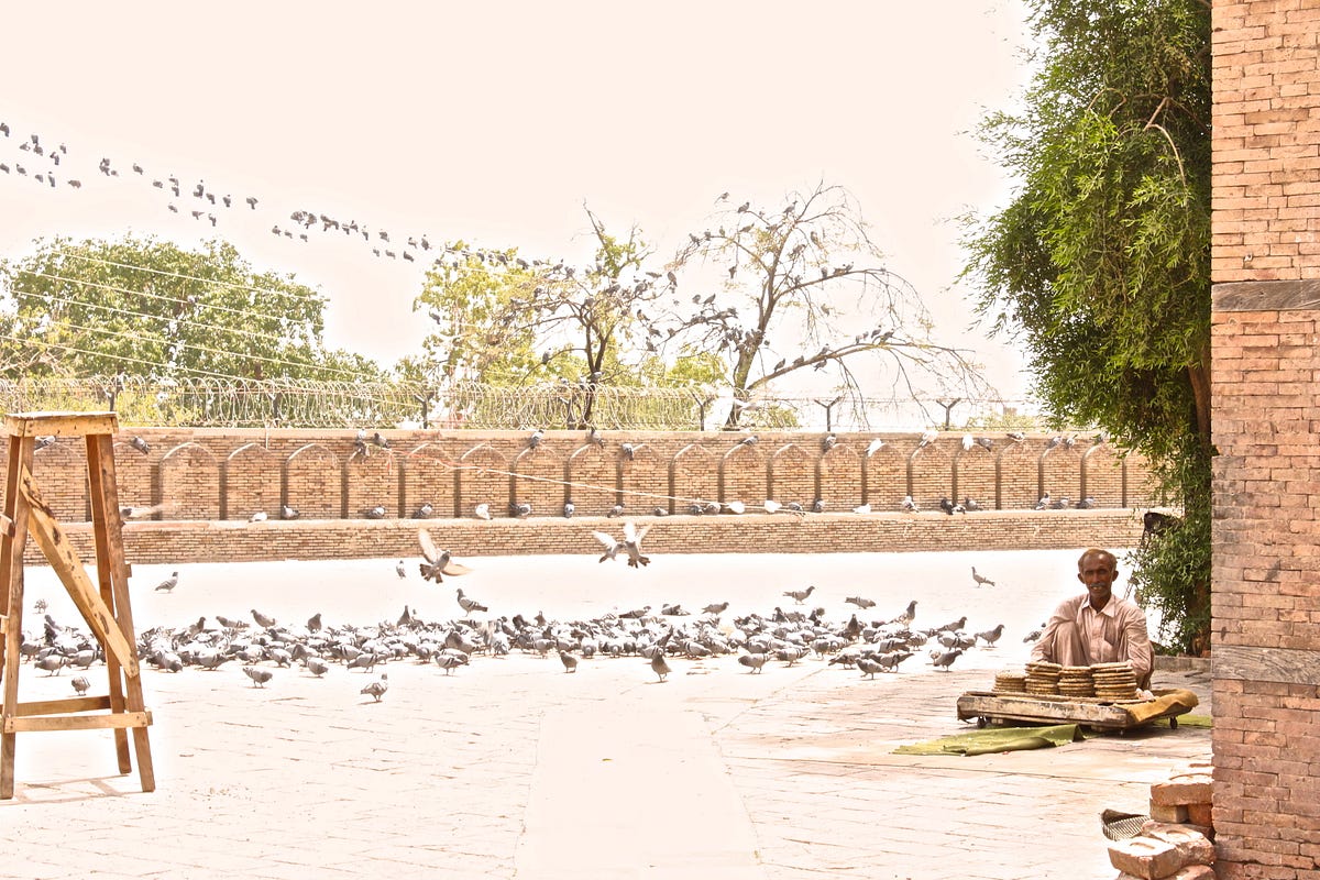 Pulling the Plug on Foreign Assistance: Lessons Learned from Pakistan ...