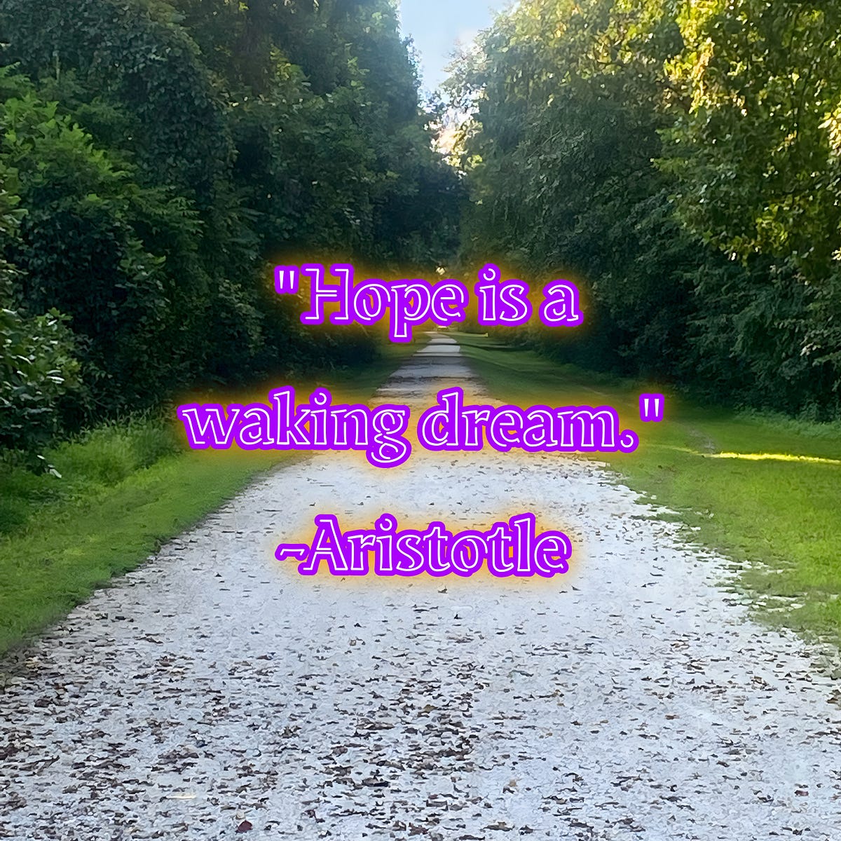 Hope is a Waking Dream. When You Feel Like You Have Nothing… | by Annie ...