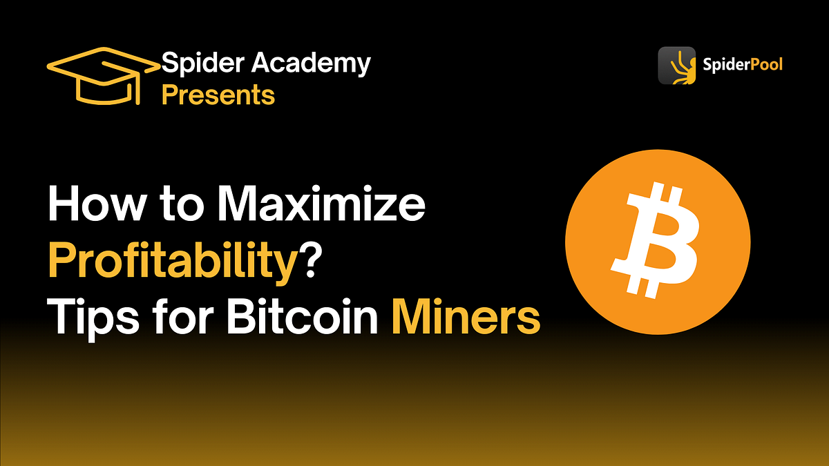 How to Maximize Profitability? Tips for Bitcoin Miners | by SpiderPool ...