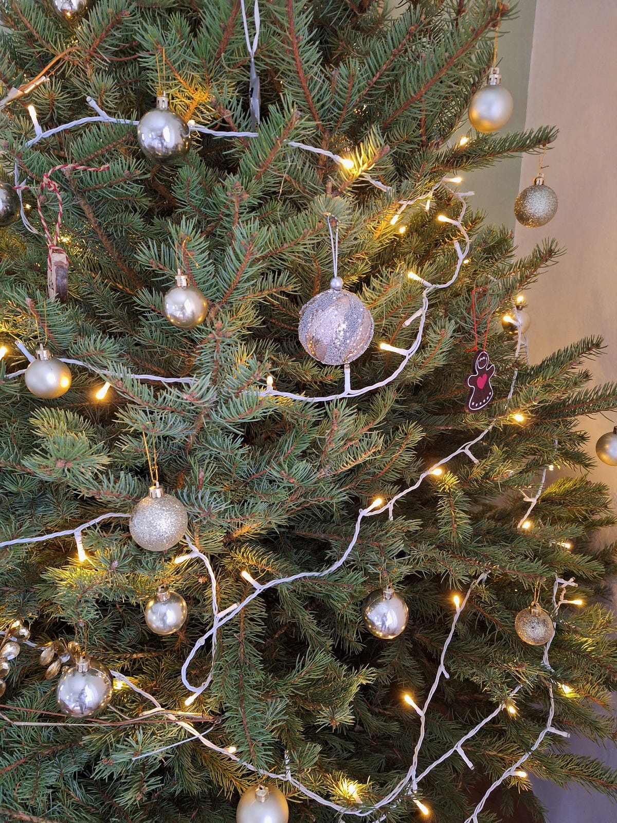 My Ethical Christmas Tree Hell. Desperately seeking the perfect… | by ...